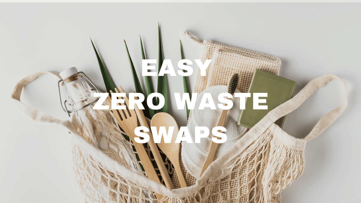 Easy Zero Waste Swaps That Will Keep You Healthy and Save You Money ...